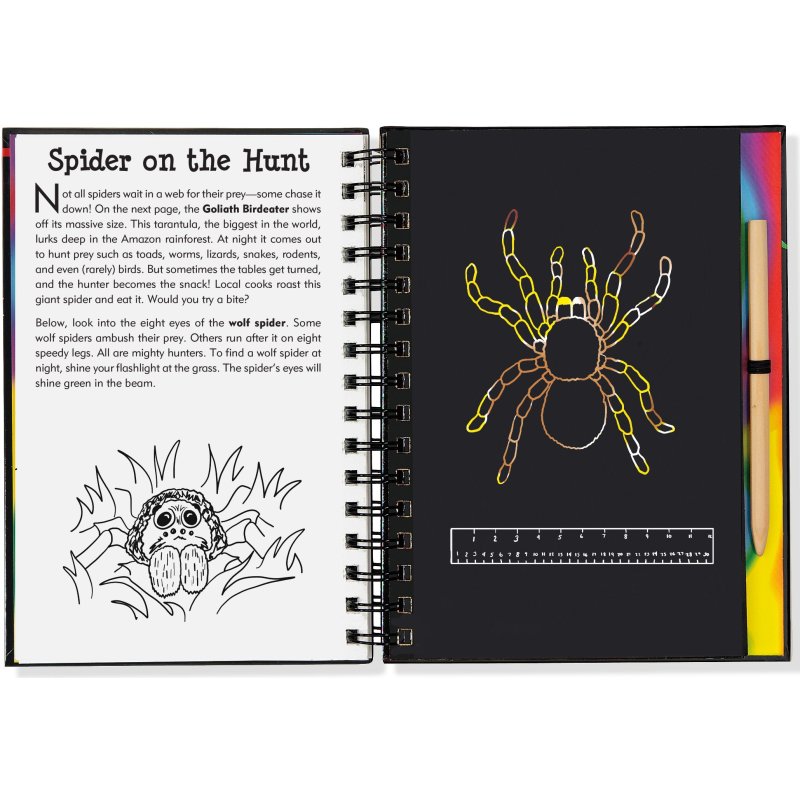 Scratch & Sketch Bugs
