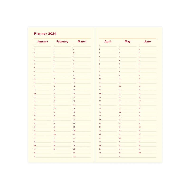Letts Lexicon Slim Week to View Diary with Appointments 2024